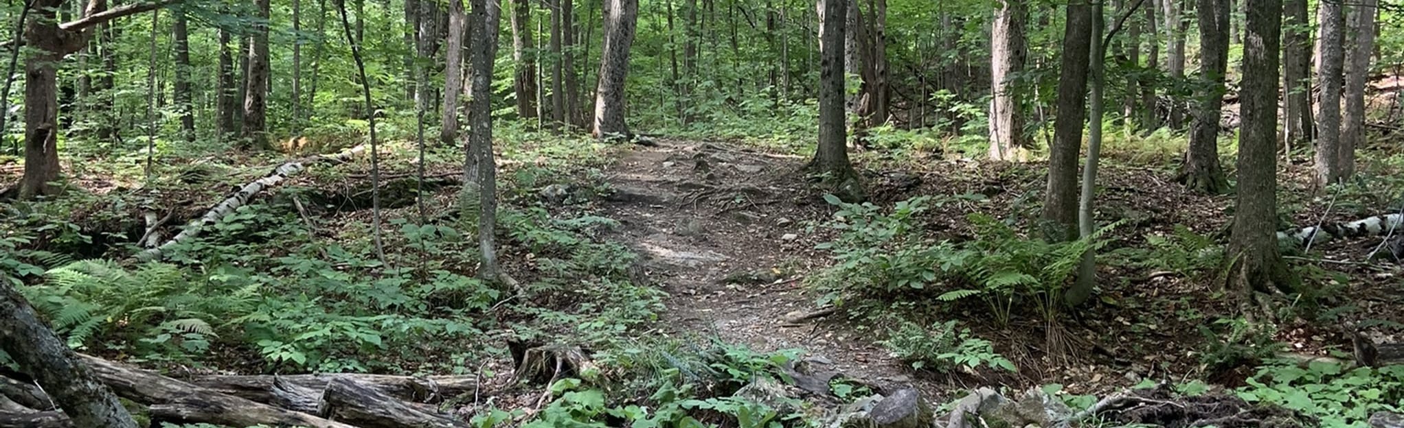 Raven Peak, Quebec, Canada - 28 Reviews, Map | AllTrails