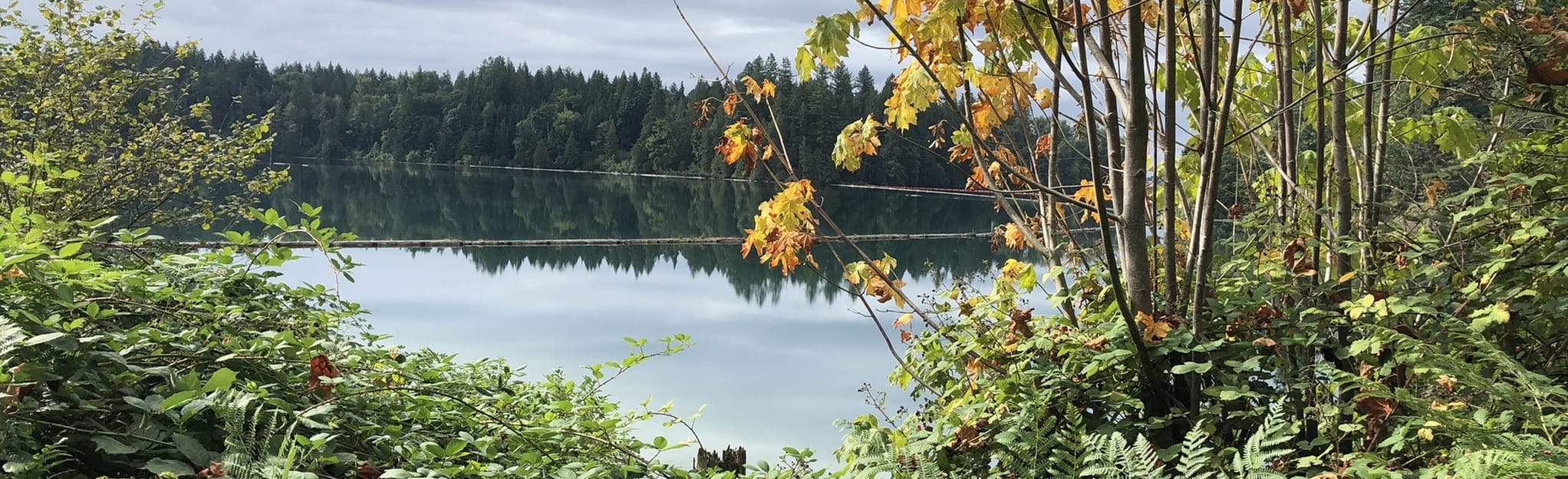 Hayward Lake: 39 Reviews, Map - British Columbia, Canada | AllTrails