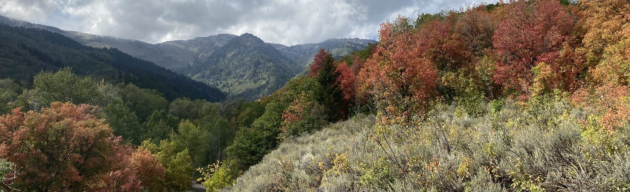 Bicentennial Trail, Long Loop, and North River Trail: 56 Reviews, Map ...