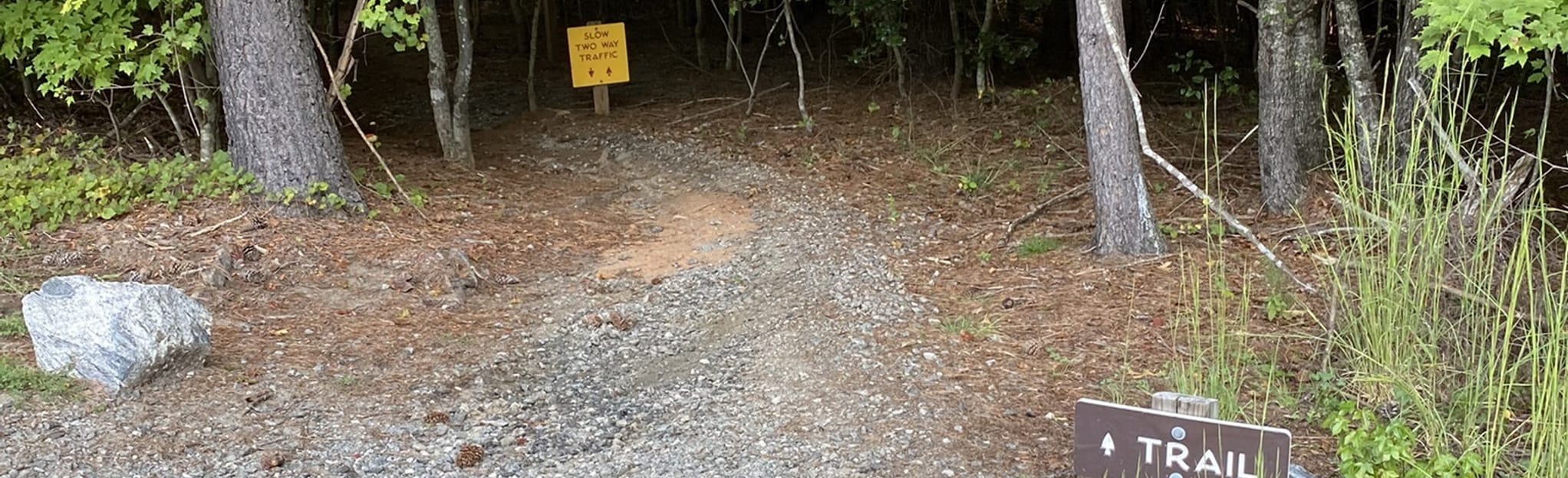 West Wimba Trail: 123 Reviews, Map - North Carolina | AllTrails