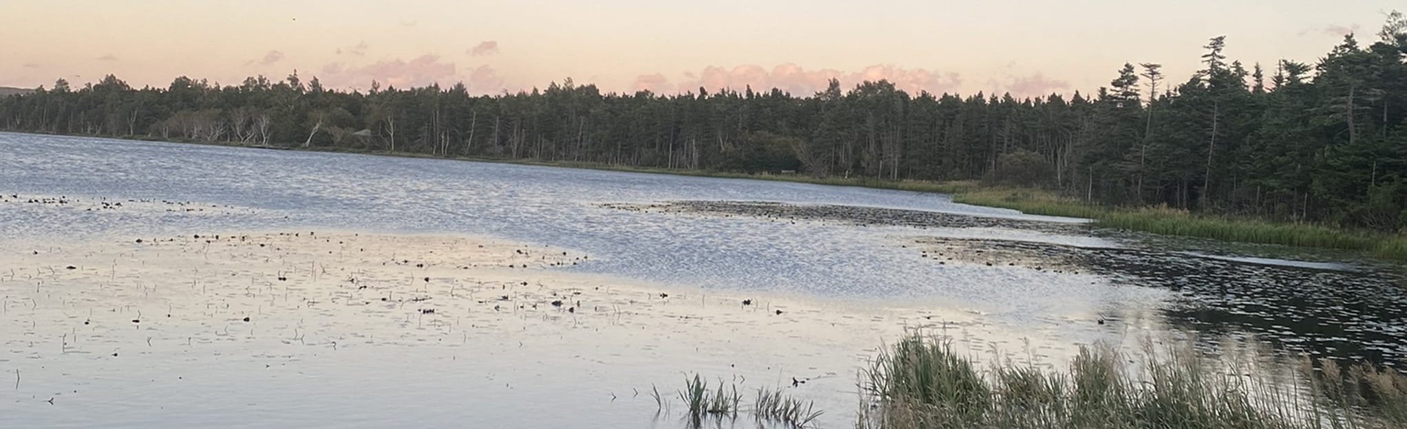 Kent's Pond Trail: 257 Reviews, Map - Newfoundland and Labrador, Canada ...