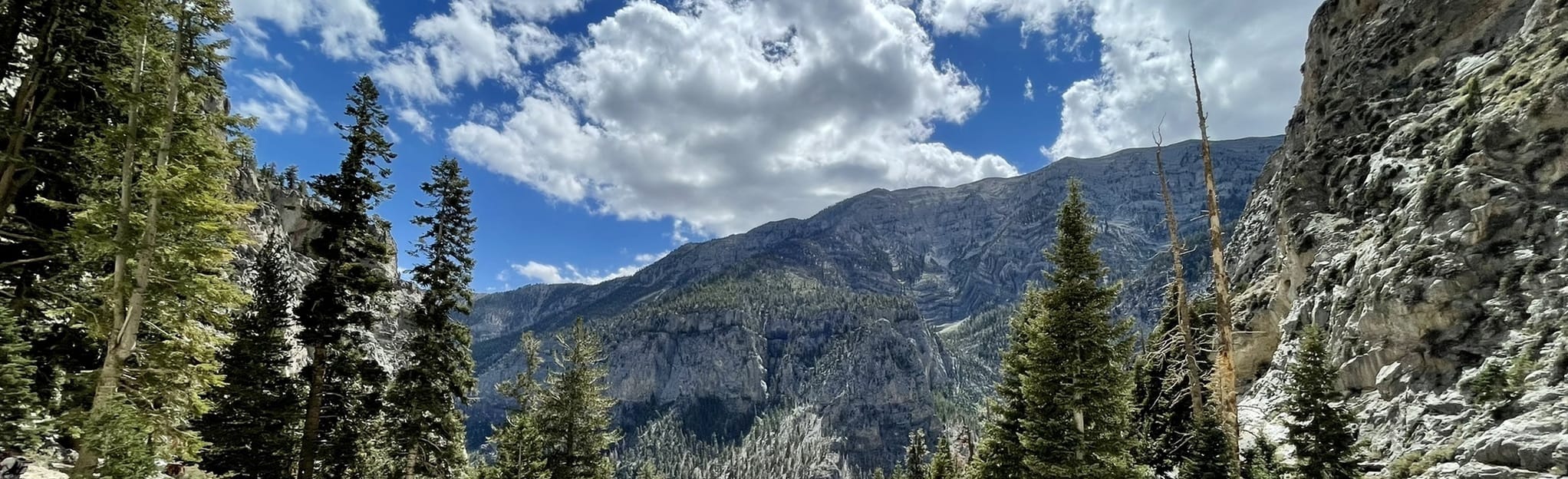 Mary Jane Falls Trail: 4280 Reviews, Map - Nevada | AllTrails