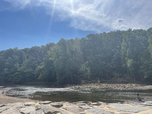 Best Hikes and Trails in Cousler Park | AllTrails