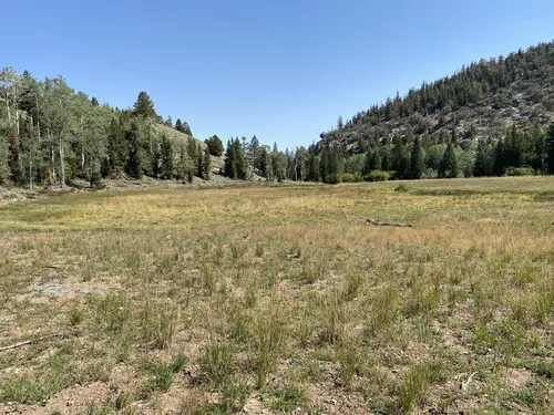 10 Best Hard Trails in Great Basin National Park | AllTrails