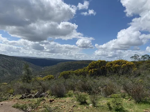 Best Hikes and Trails in Avon Valley National Park | AllTrails