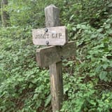Appalachian Trail: Cooper Gap to Woody Gap , Georgia - 270 Reviews, Map ...