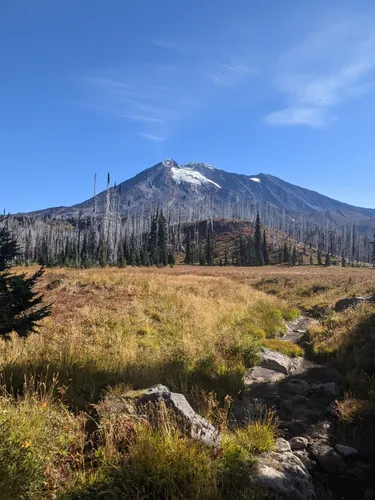 Best Hikes and Trails in Mount Adams Recreation Area | AllTrails