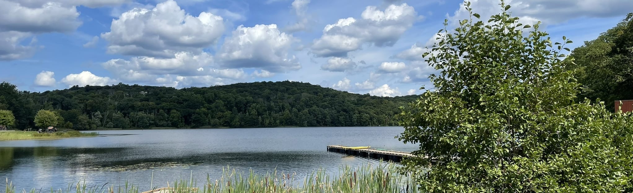 Shepherd Lake Loop, New Jersey - 241 Reviews, Map | AllTrails