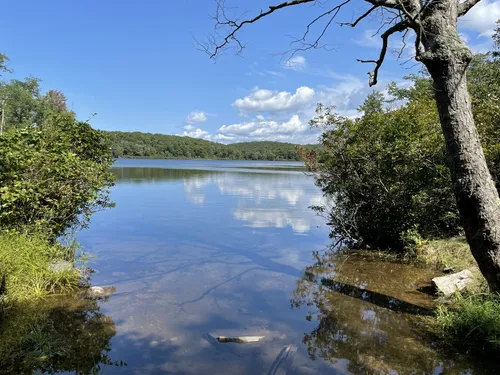 10 Best Hikes and Trails in Worthington State Forest | AllTrails