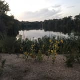 Boise Cascade Lake Loop, Idaho - 303 Reviews, Map | AllTrails