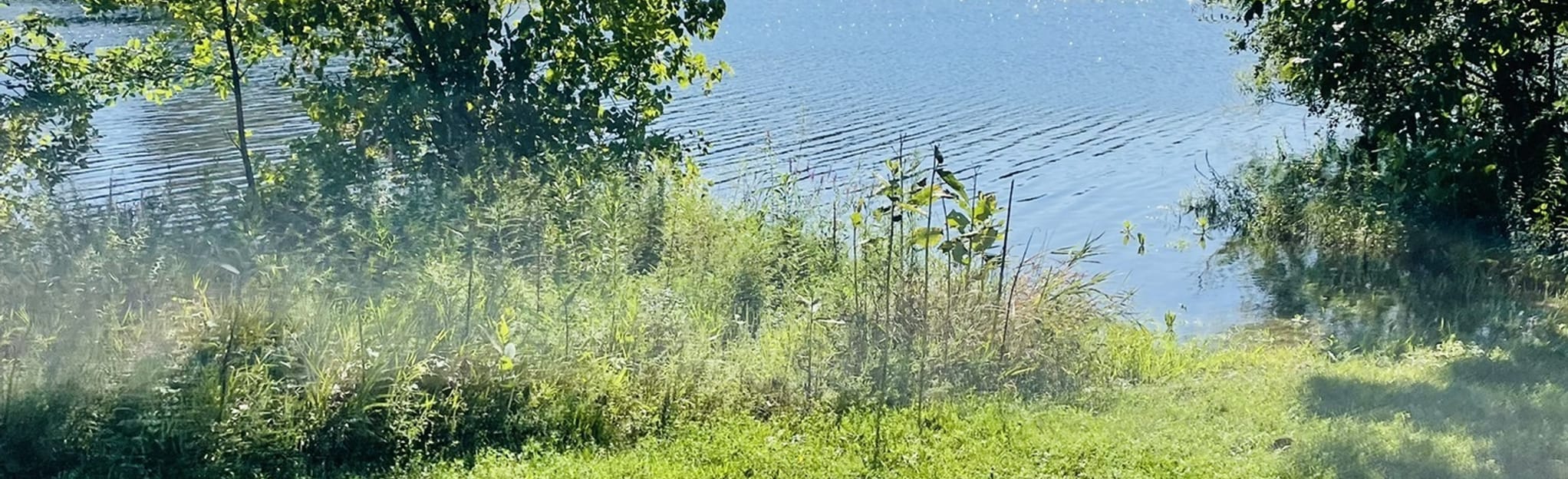 Stringham Park Loop: 22 Reviews, Map - New York | AllTrails