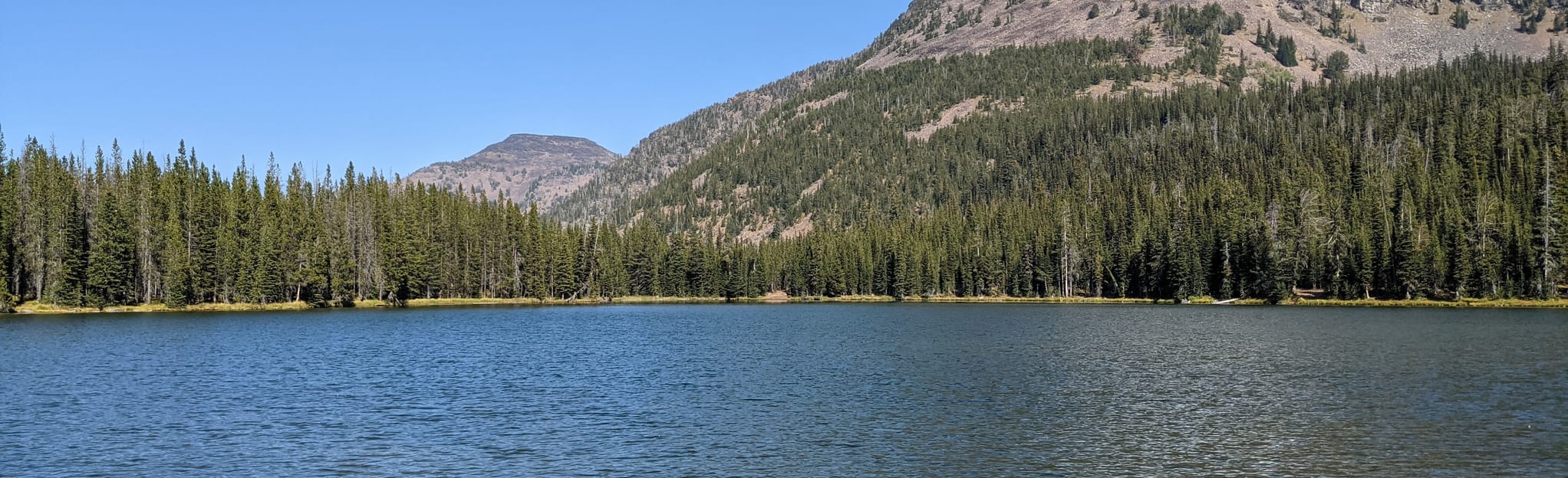 Slide Lake Trail: 50 Reviews, Map - Oregon | AllTrails