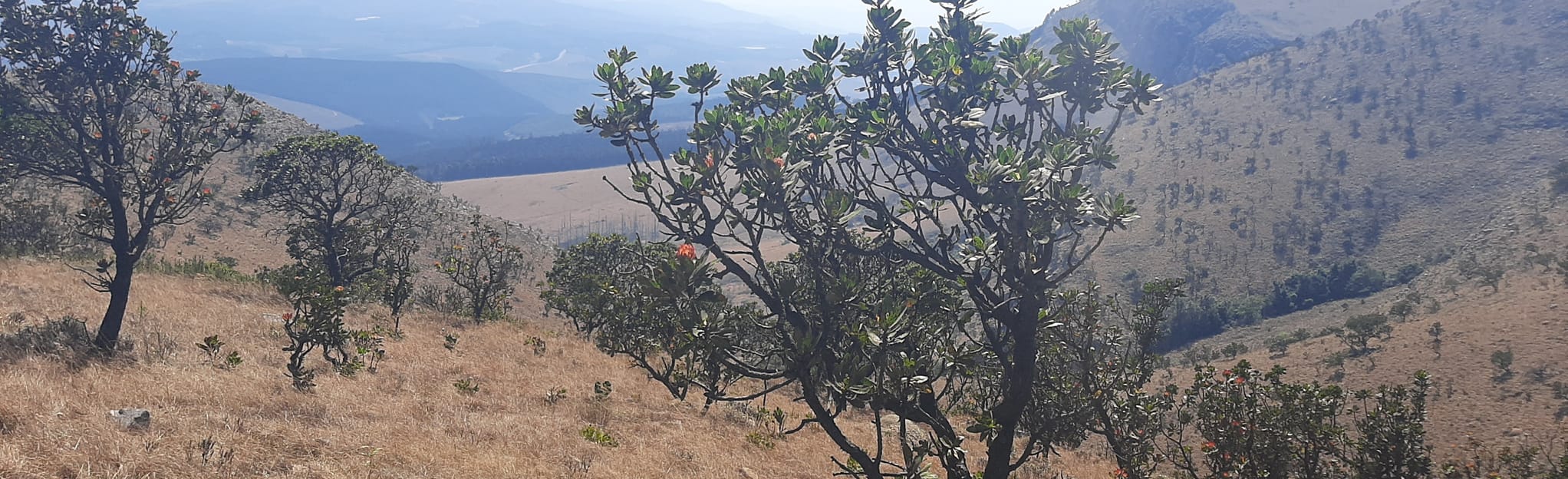 Summit Iron Crown, Limpopo, South Africa - 4 Reviews, Map | AllTrails