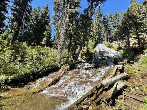 10 Best Waterfall Trails in Mount Hood National Forest | AllTrails