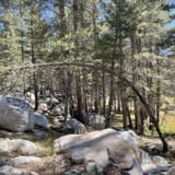 Lower Gaylor Lake Trail, California - 88 Reviews, Map | AllTrails