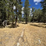 Lower Gaylor Lake Trail, California - 88 Reviews, Map | AllTrails