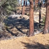 Little Bear Peak, California - 145 Reviews, Map | AllTrails