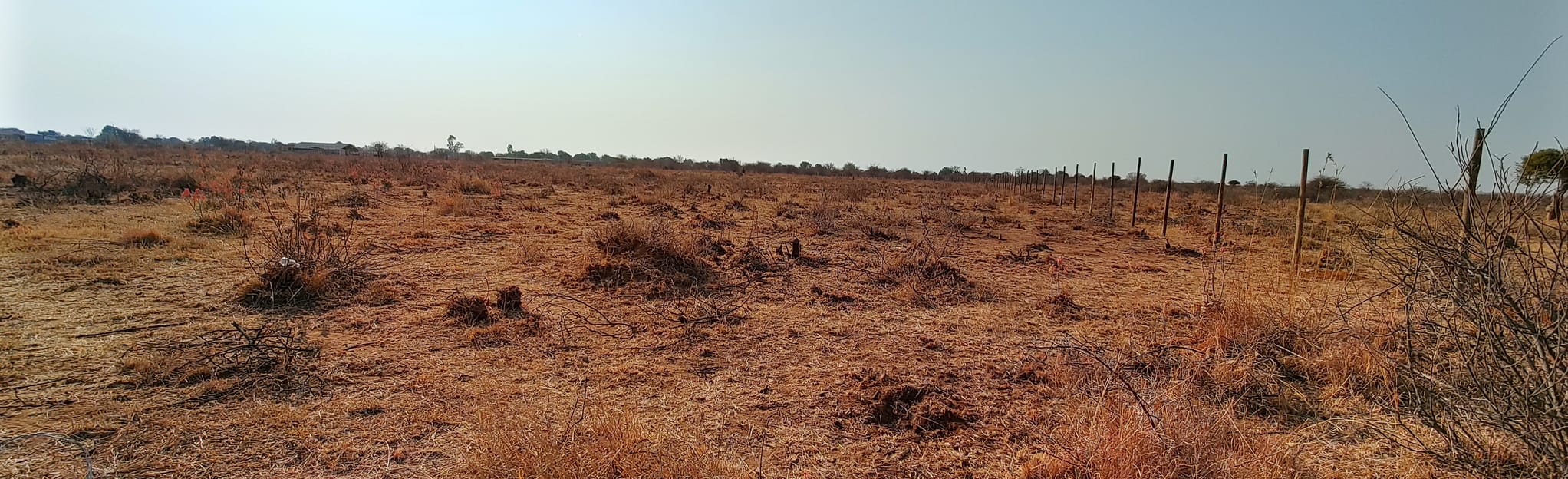 Rhodes Farm, 4 Fotos - North West, South Africa | AllTrails