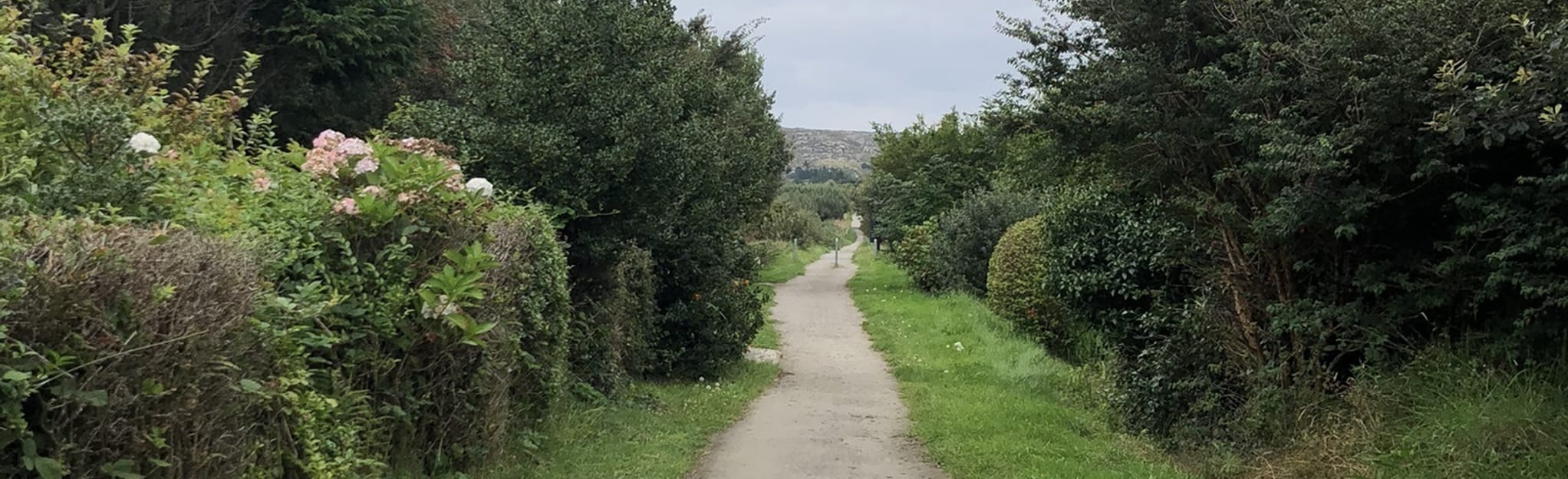 Burtonport | Ailt a' Chorráin: 15 Reviews, Map - County Donegal ...