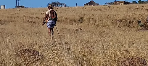 Best Hikes and Trails in Msinga NU | AllTrails