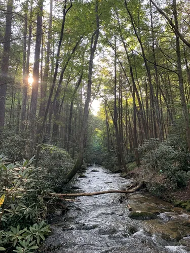 10 Best Hikes and Trails in Blue Ridge Wildlife Management Area | AllTrails