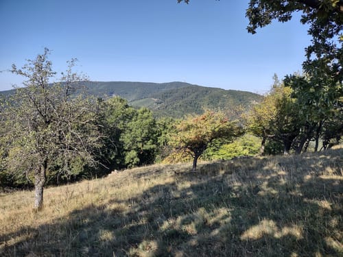 2023 Best Hot Springs Trails in Nemti | AllTrails