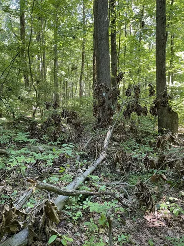 Best Hikes and Trails in B. Leroy and Elizabeth Burkhart Preserve ...