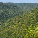 Pendleton Point Overlook, West Virginia - 195 Reviews, Map | AllTrails