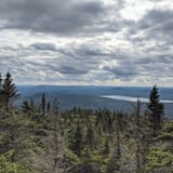 Debar Mountain Trail, New York - 170 Reviews, Map | AllTrails
