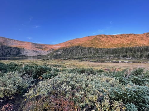 2023 Best 10 Trails and Hikes in Red Feather Lakes | AllTrails