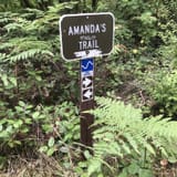 Amanda's Trail, Oregon - 156 Reviews, Map | AllTrails