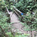 Amanda's Trail, Oregon - 156 Reviews, Map | AllTrails