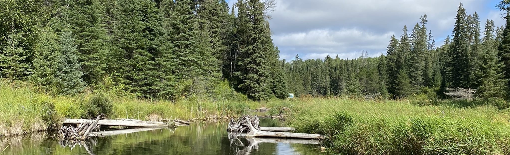 Whiteshell River Trail: 99 Reviews, Map - Manitoba, Canada | AllTrails