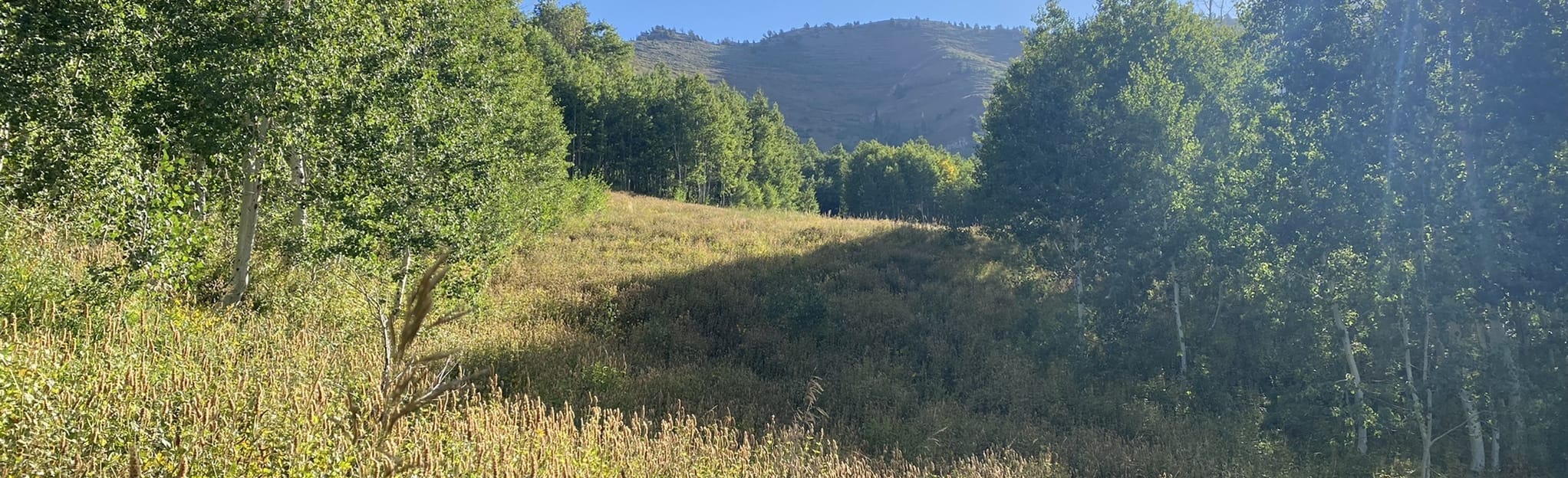 Cascade Mountain via Dry Fork Canyon | Map, Guide - Utah | AllTrails