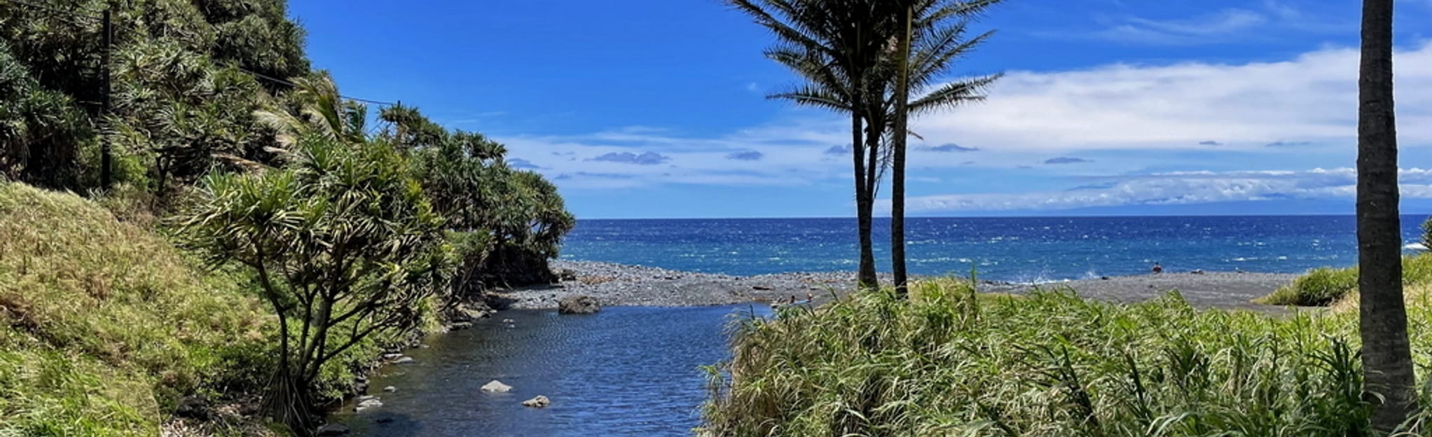 Alelele Falls, Maui, Hawaii - 97 Reviews, Map | AllTrails