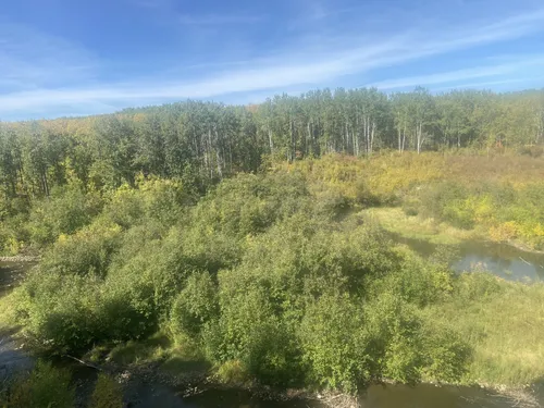 10 Best Forest Trails in Porcupine Provincial Forest | AllTrails