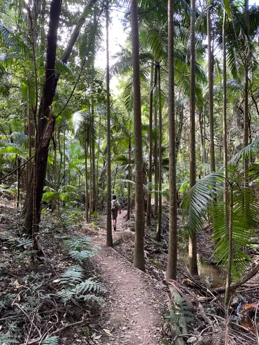 Best Hikes and Trails in Katandra Reserve | AllTrails