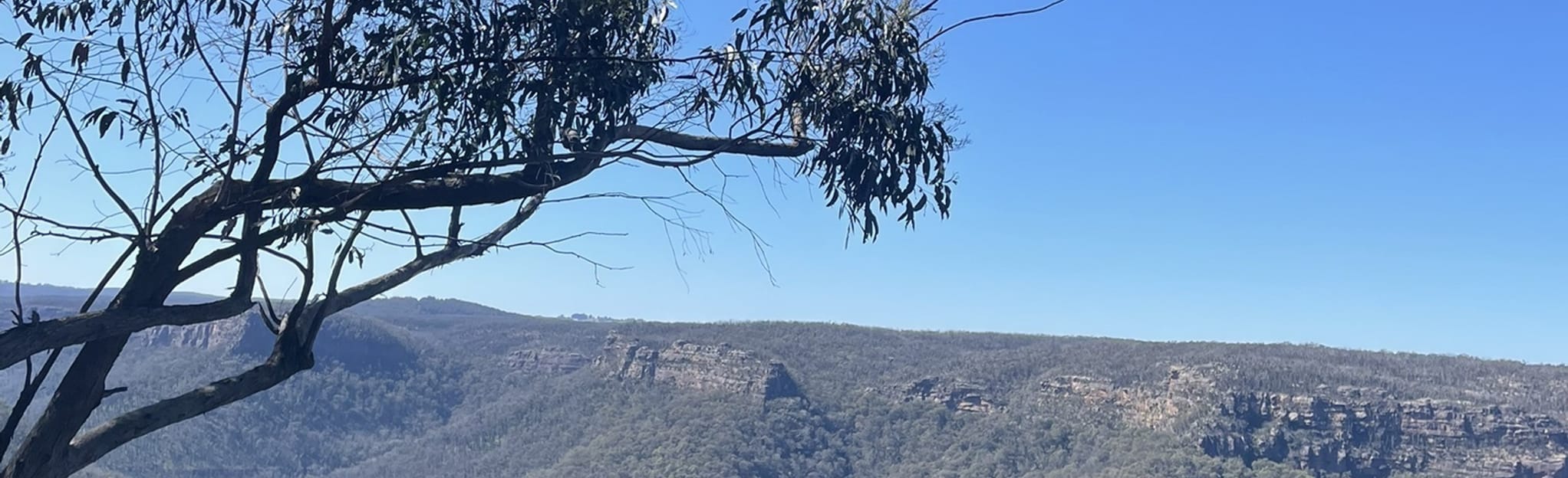 Bundanoon Creek Track, New South Wales, Australia - 10 Reviews, Map ...