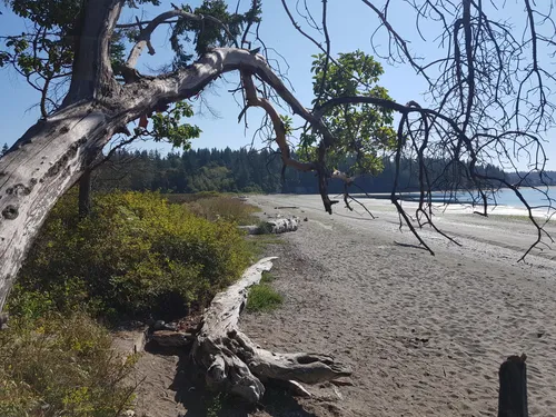 Best Forest Trails in Hansville | AllTrails
