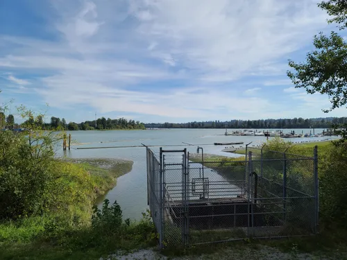 10 Best Trails and Hikes in Port Coquitlam | AllTrails