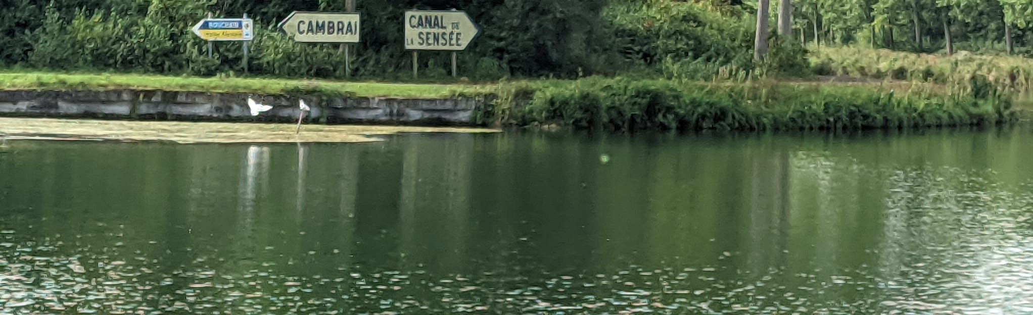 The La Sensée Canal towpath: 8 Reviews, Map - Nord, France | AllTrails