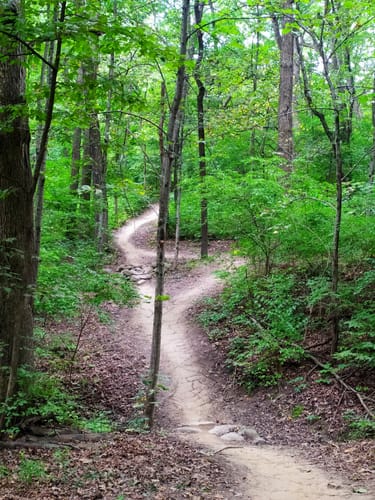 Best Hikes and Trails in Red Gate Woods | AllTrails