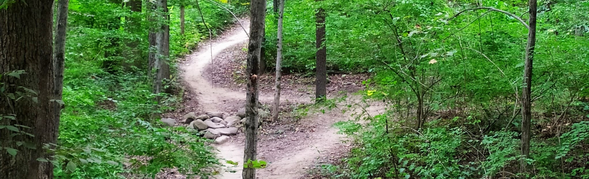 Palos, Yellow, and Orange Trail Loop, Illinois - 130 Reviews, Map ...