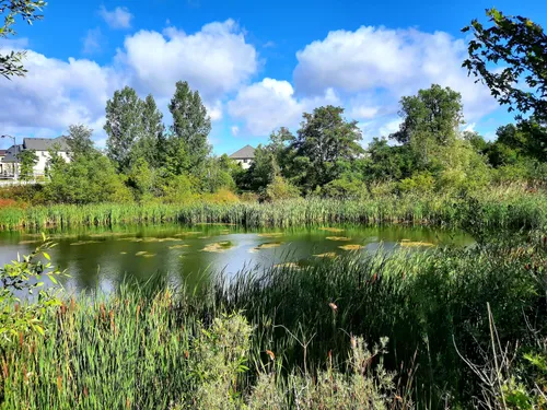 10 Best Trails and Hikes in Richmond Hill | AllTrails