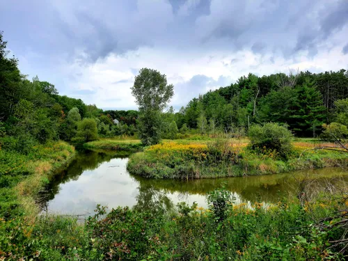10 Best Trails and Hikes in Richmond Hill | AllTrails