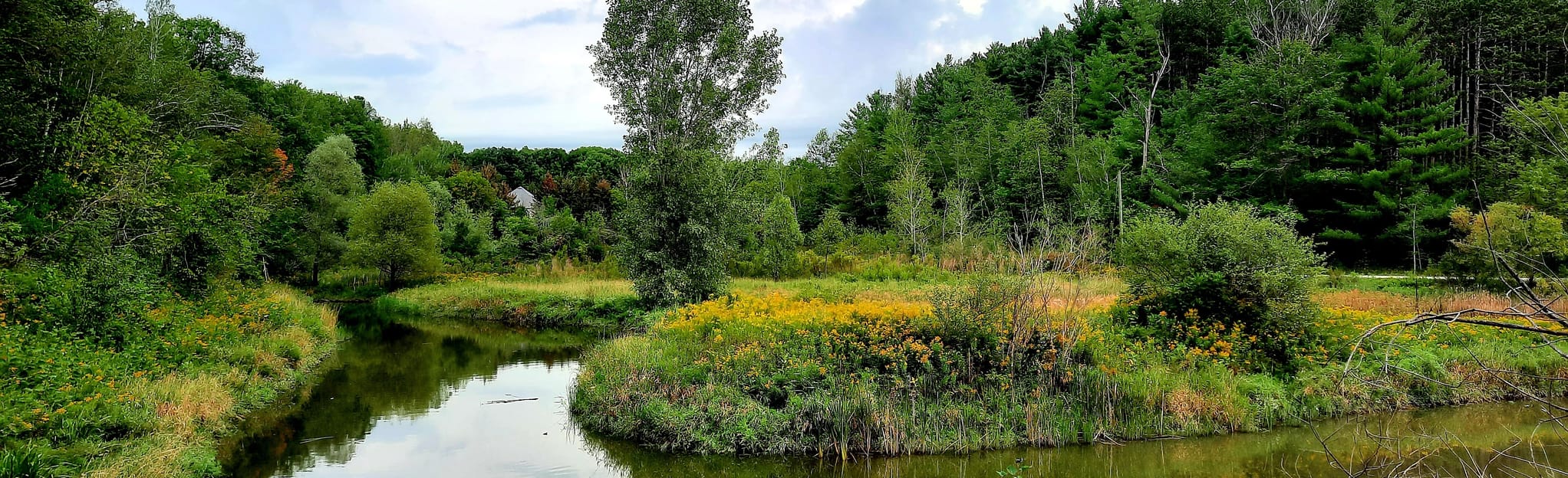 Don River East Branch Loop: 158 Reviews, Map - Ontario, Canada | AllTrails