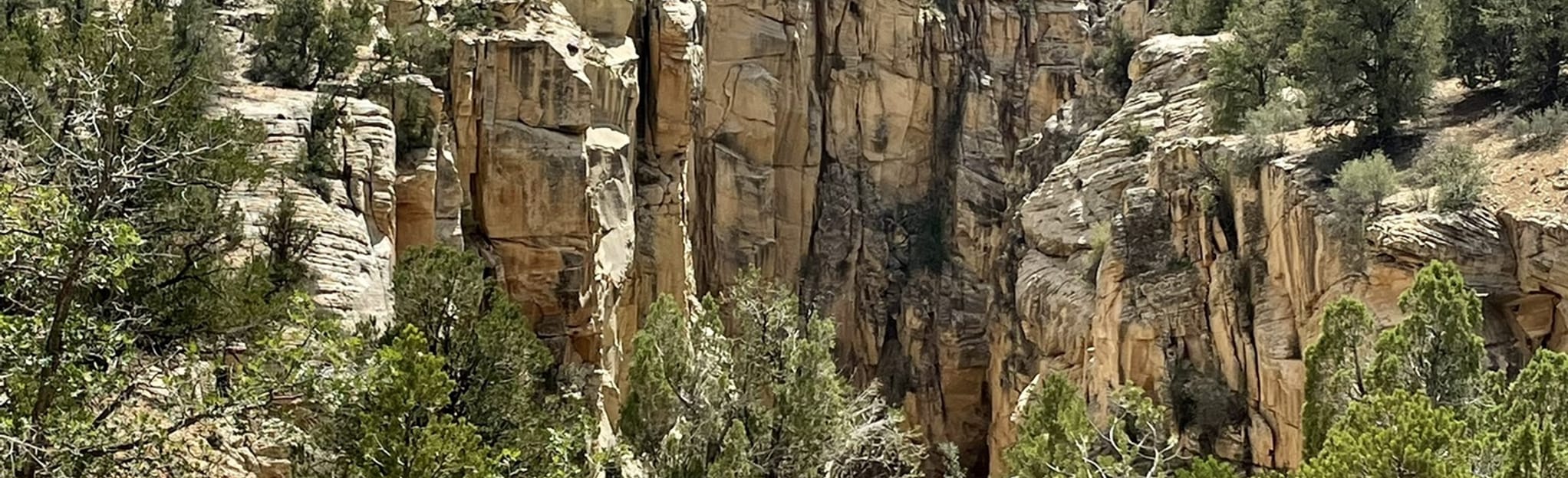 Bull Valley Gorge Trail, Utah - 190 Reviews, Map | AllTrails