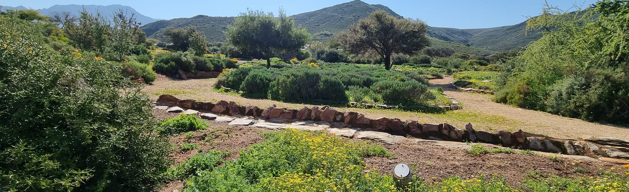 Shale Trail, Western Cape, South Africa - Map, Guide | AllTrails