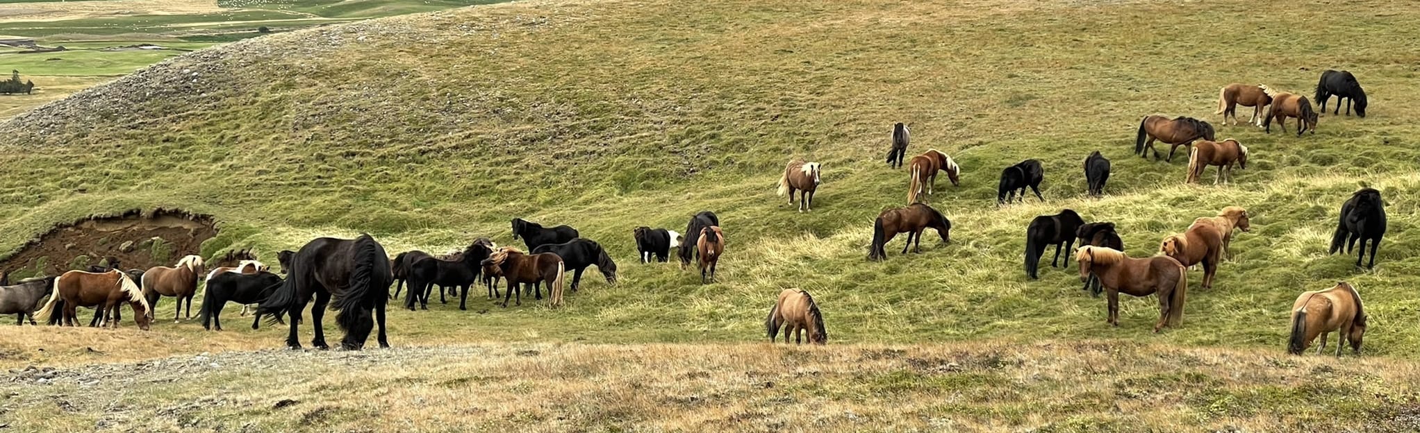Kerling, Northeastern, Iceland - 5 Reviews, Map | AllTrails