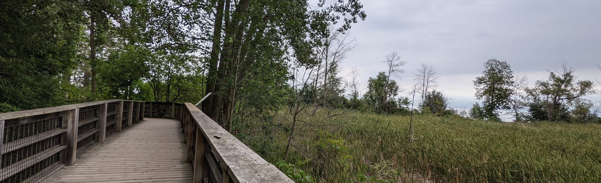 Rattray Marsh via Jack Darling Memorial Park, Ontario, Canada - 231 ...